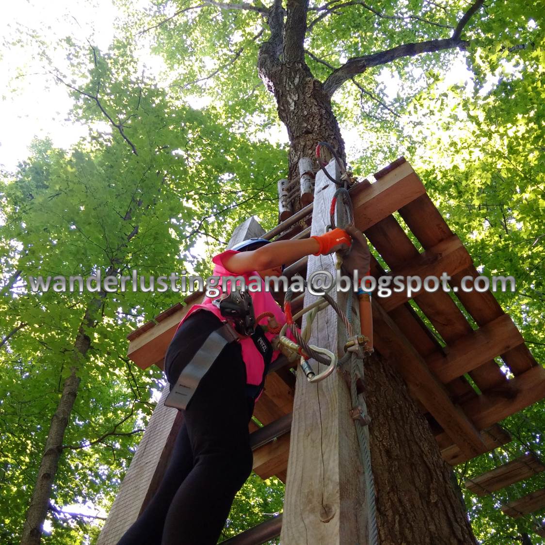 Wanderlusting Mama: One with the trees: an adventure at Treewalk ...