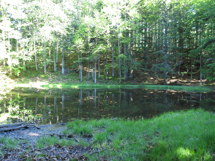 Escursionismo a 360°: Alpe Tre Potenze e Gomito (per il Lago del Greppo) EE