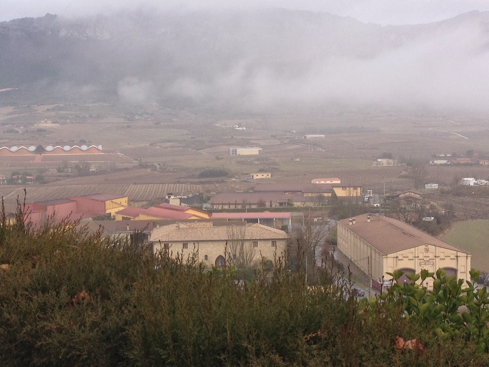 The Girl with No Dragon Tattoo: a la Rioja