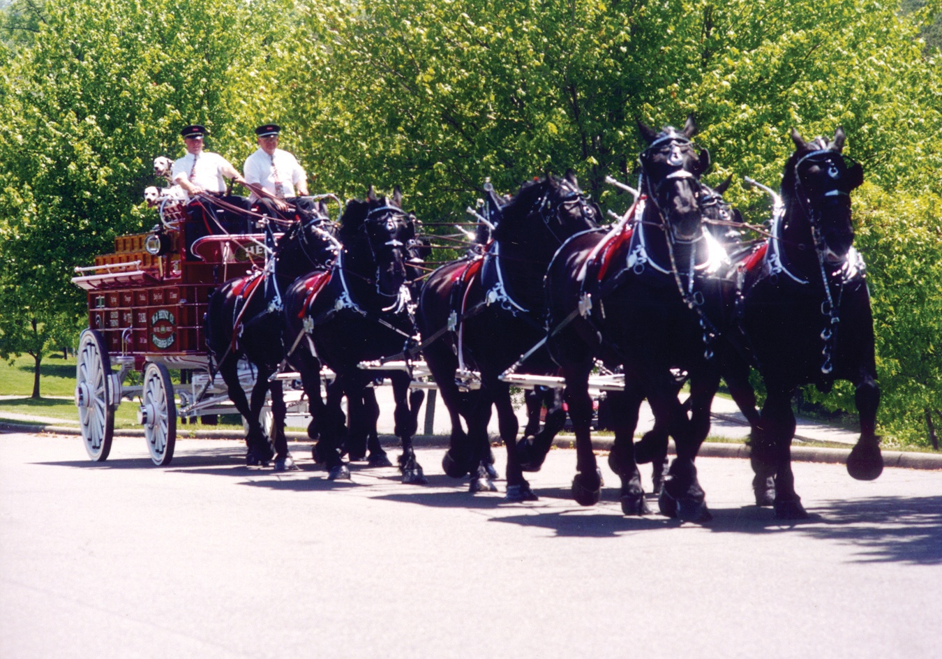 Eaglesfield Percherons: H.J. Heinz Company Hitch