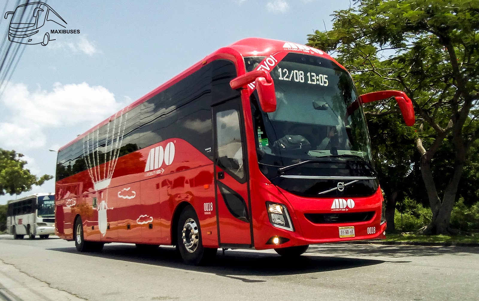 MAXIBUSES: AUTOBUSES DE ORIENTE (ADO)