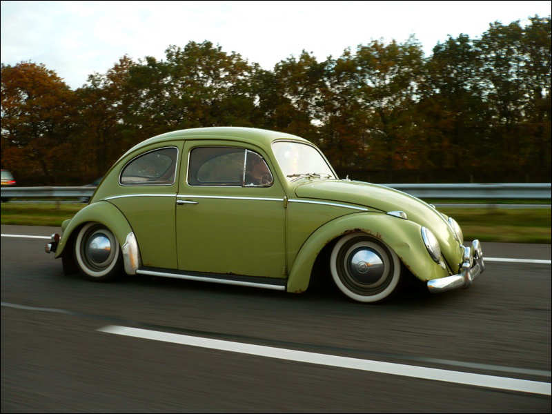 HELL ON WHEELS: Mango The Slammed Rat Bug