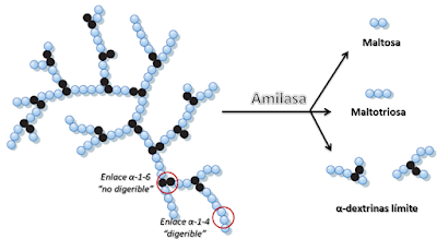 ANATOMIA APLICADA de Angela Hurtado: 2018
