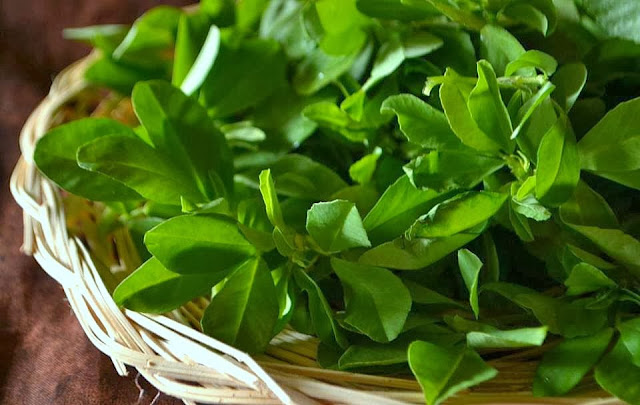 Mix and Stir: Methi chicken