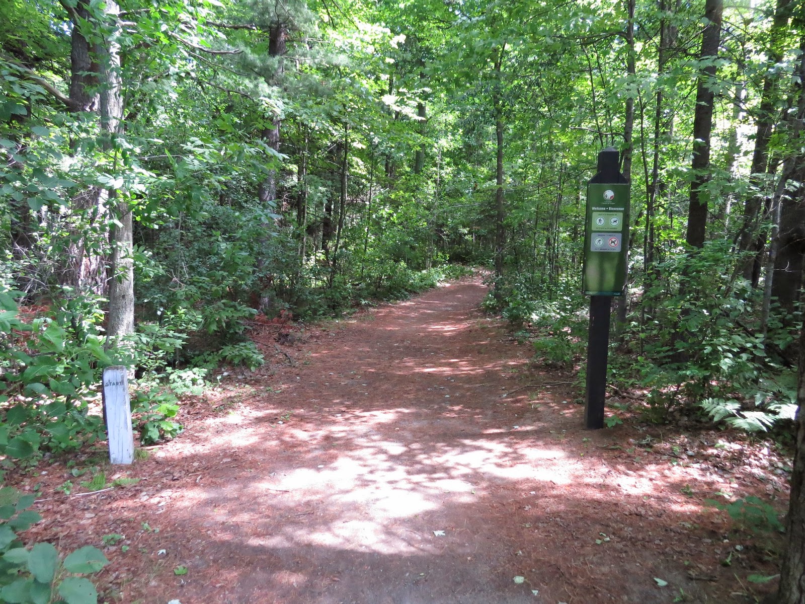 Project Greenbelt: Pinhey Forest – Trail 31 and 32