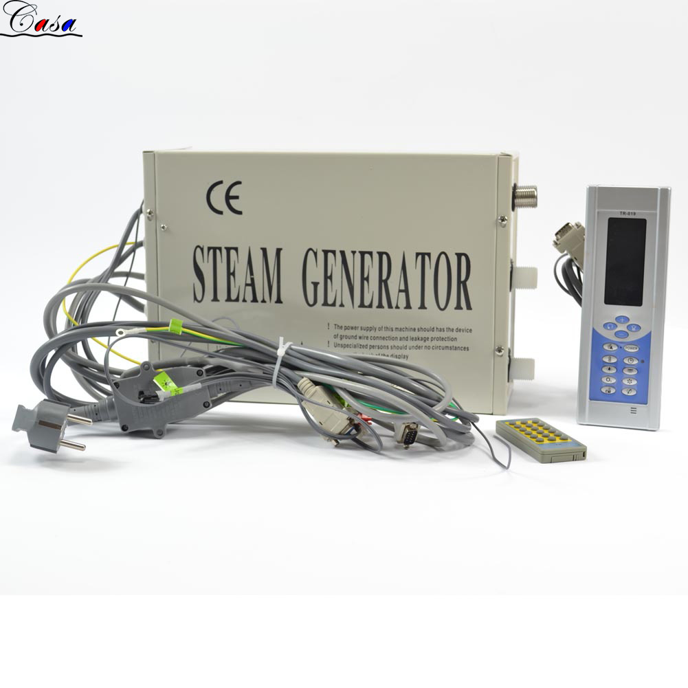 Replacement Steam Generator: Replacement Steam Generator TR019