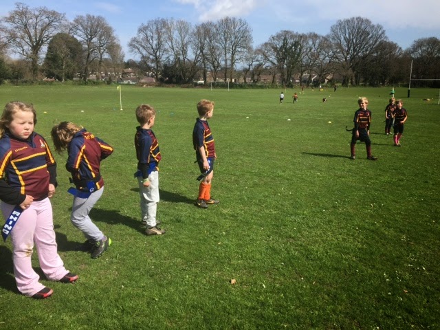 Tor Junior and Mini Rugby : Under 8s