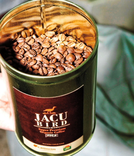 CHARUTOS & HARLEYROS: CAFÉ SUPER ESPECIAL: JACU BIRD COFFE