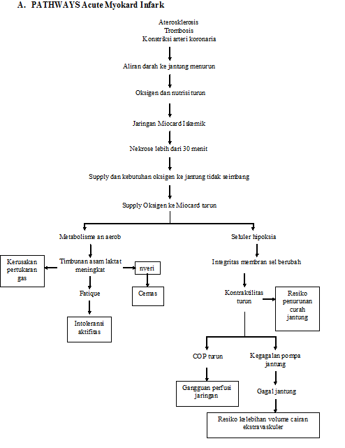 PATOFLOW: PATOFLOW ACUT MIOCARD INFARK