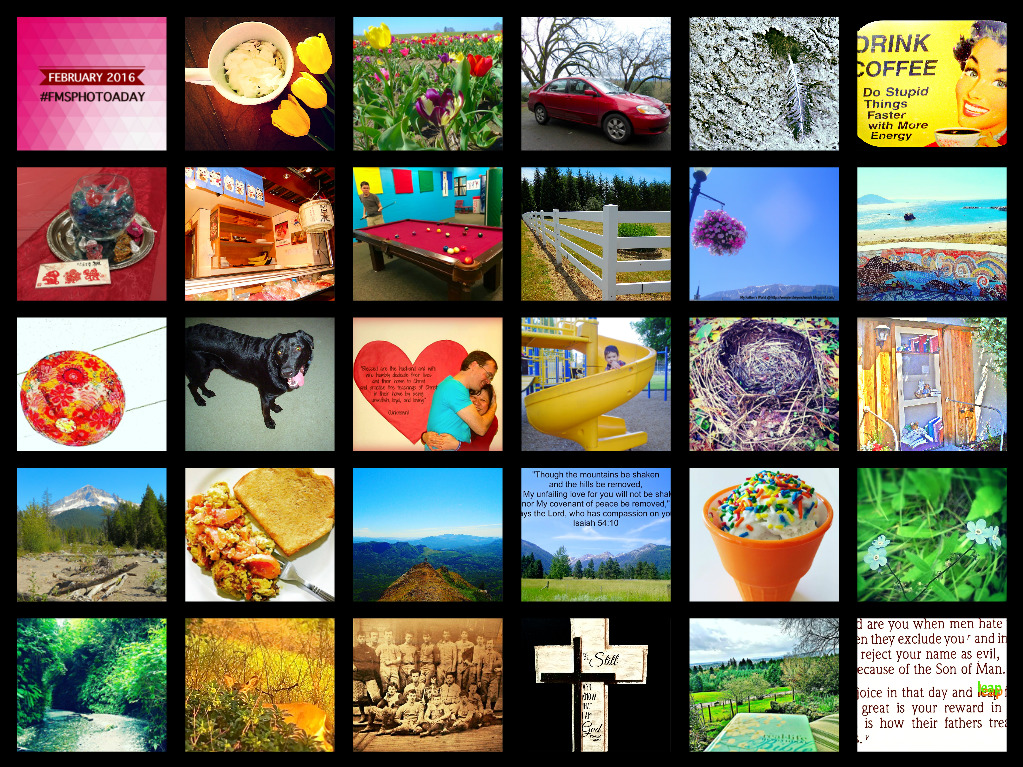 February 2016 Collage