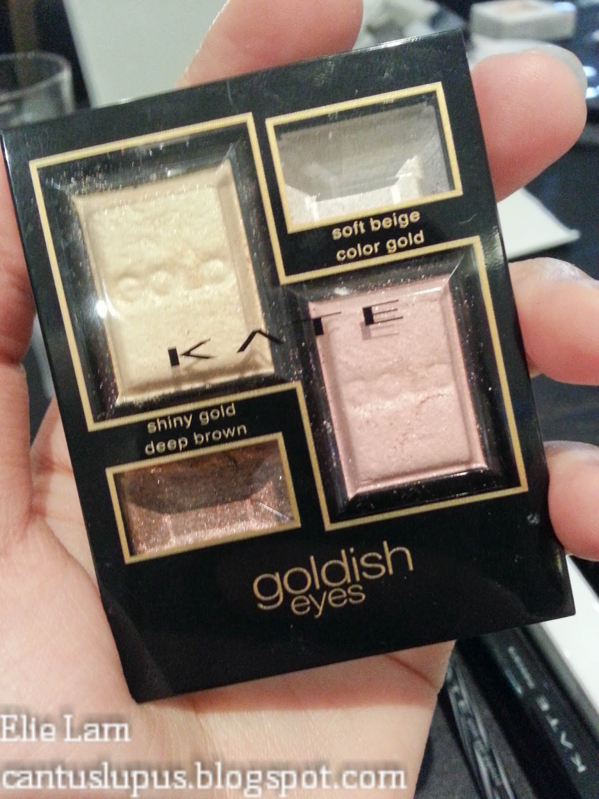 KATE Makeup Workshop - CANTUSLUPUS.COM