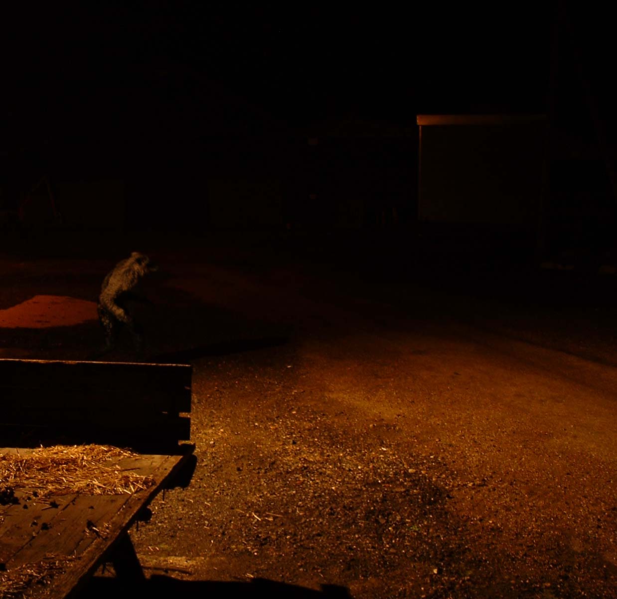 infinitemonkey: The Fen Werewolf