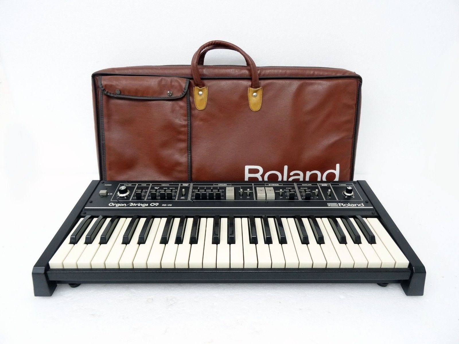 MATRIXSYNTH: ROLAND RS-09 Organ/Strings Vintage Analog Synthesizer w ...