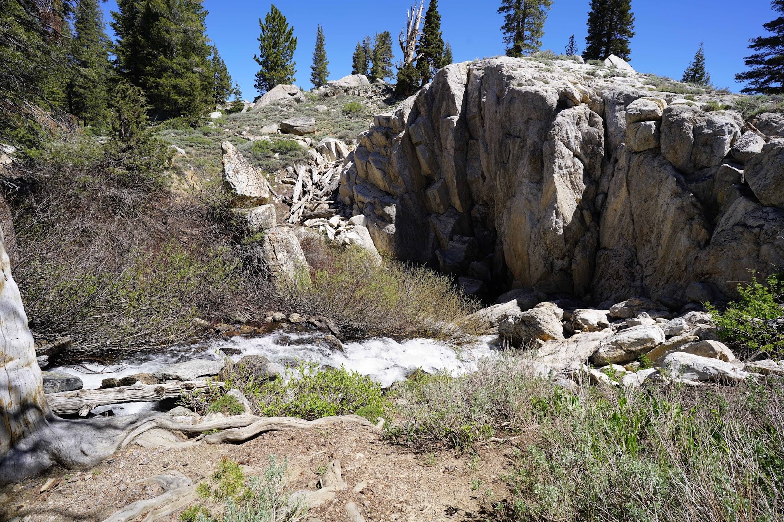 Mid Sierra Musings: Hike To Potter Pass And Twin Lakes From Kaiser Pass ...