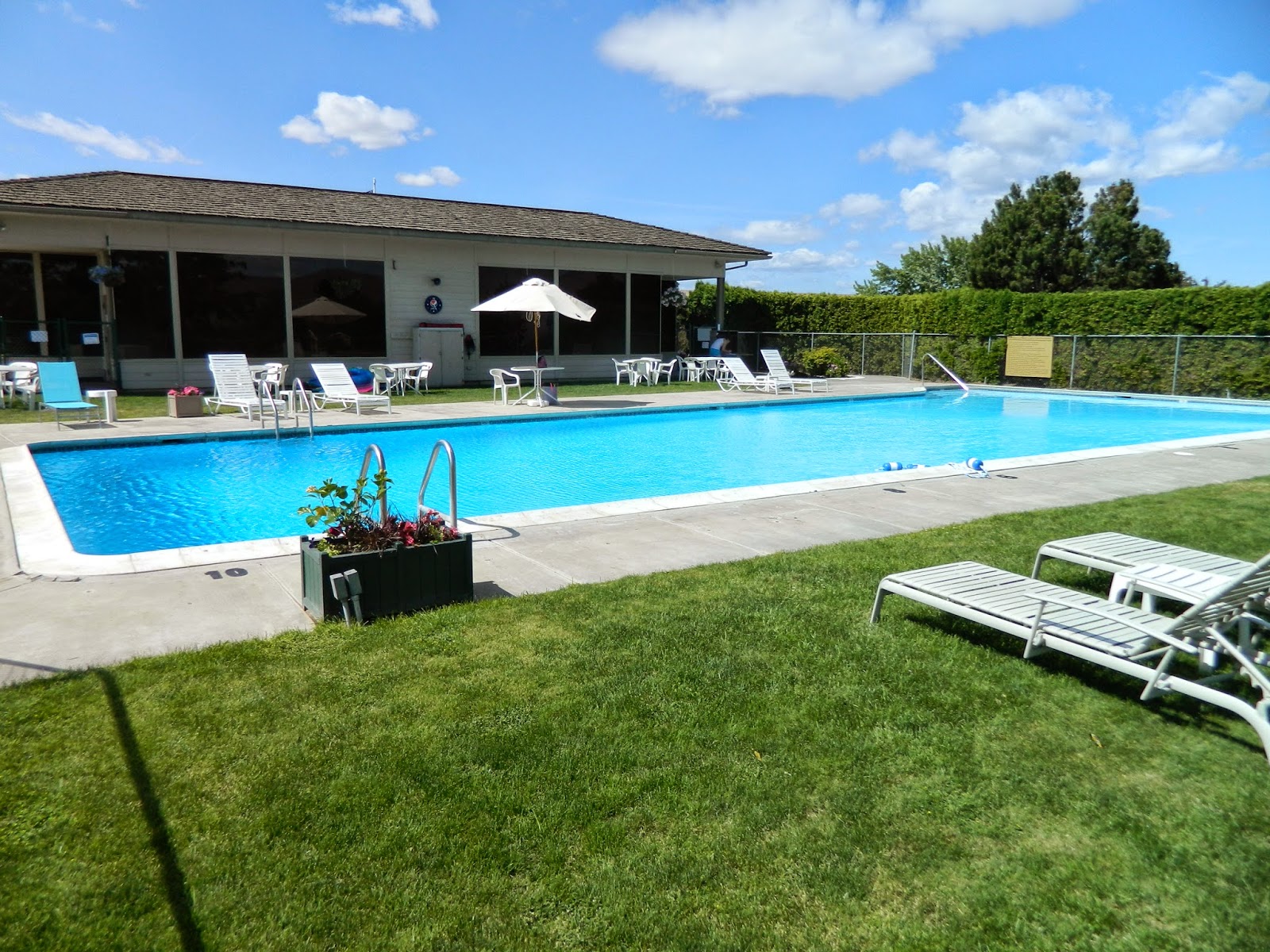 LGCC Golf Maintenance: Swimming Pool