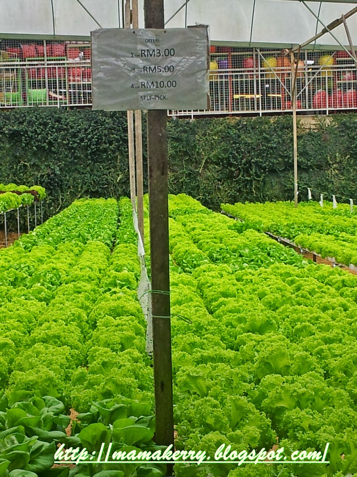 Sweetmama: Family Trip Cuti² Genting 2013 | Last Day ~ Singgah ke Mini ...