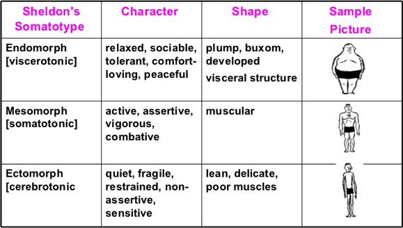 Sheldon s Theory Of Personality Type Theory sheldon-s-theory-of-personality-type-theory