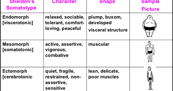 Sheldon's Theory of Personality (Type Theory)