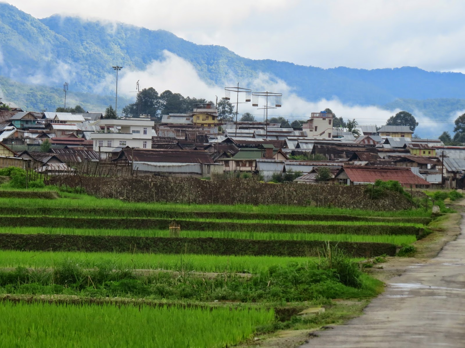 Folk Rice Conservation: Apatani Rice Arunachal Pardesh