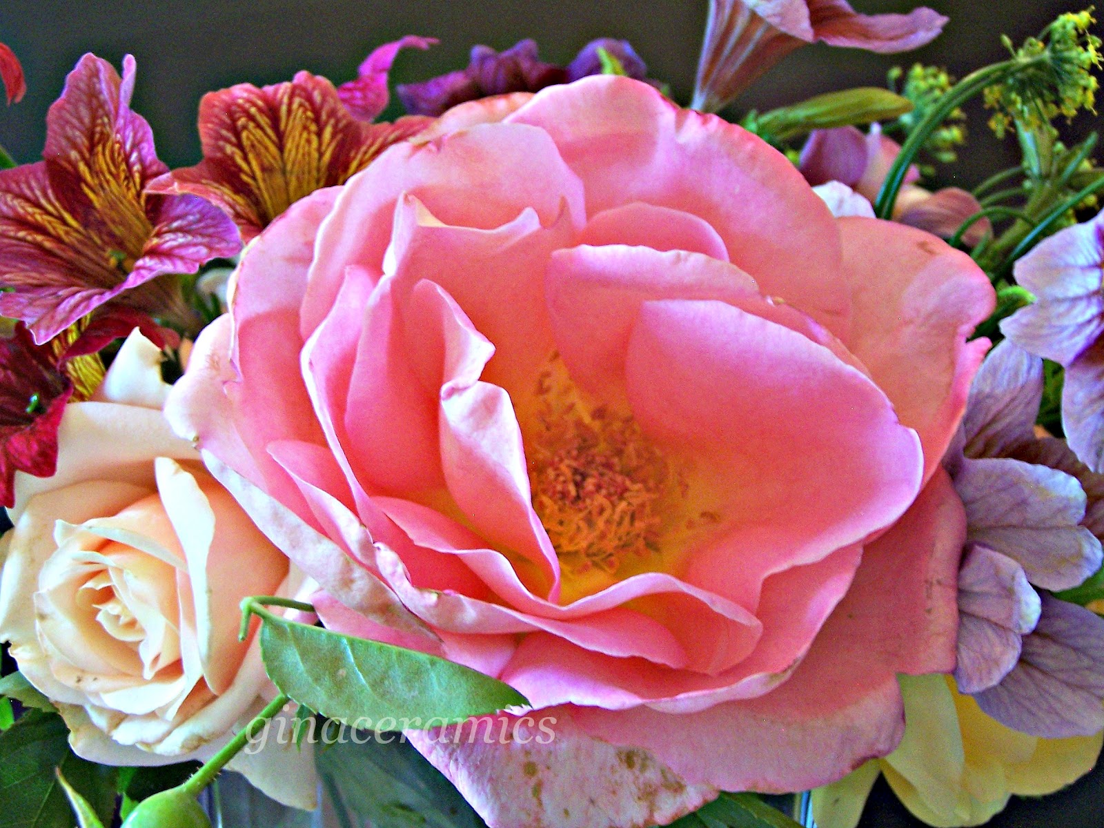 Art and Alfalfa: Rose Petal Potpourri