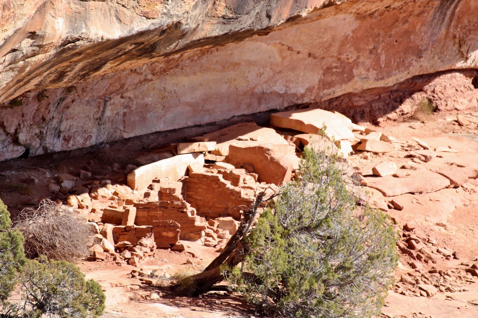 The Southwest Through Wide Brown Eyes: Half Day Tour with Four Corners ...