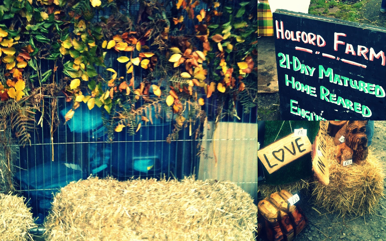 The Rode Hall Farmers' Market | THE TEAPOT BLOG