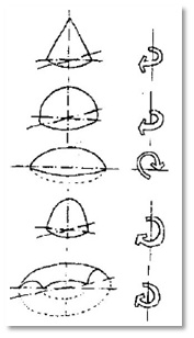 Struktur Shell - Arsitek Arsitektur