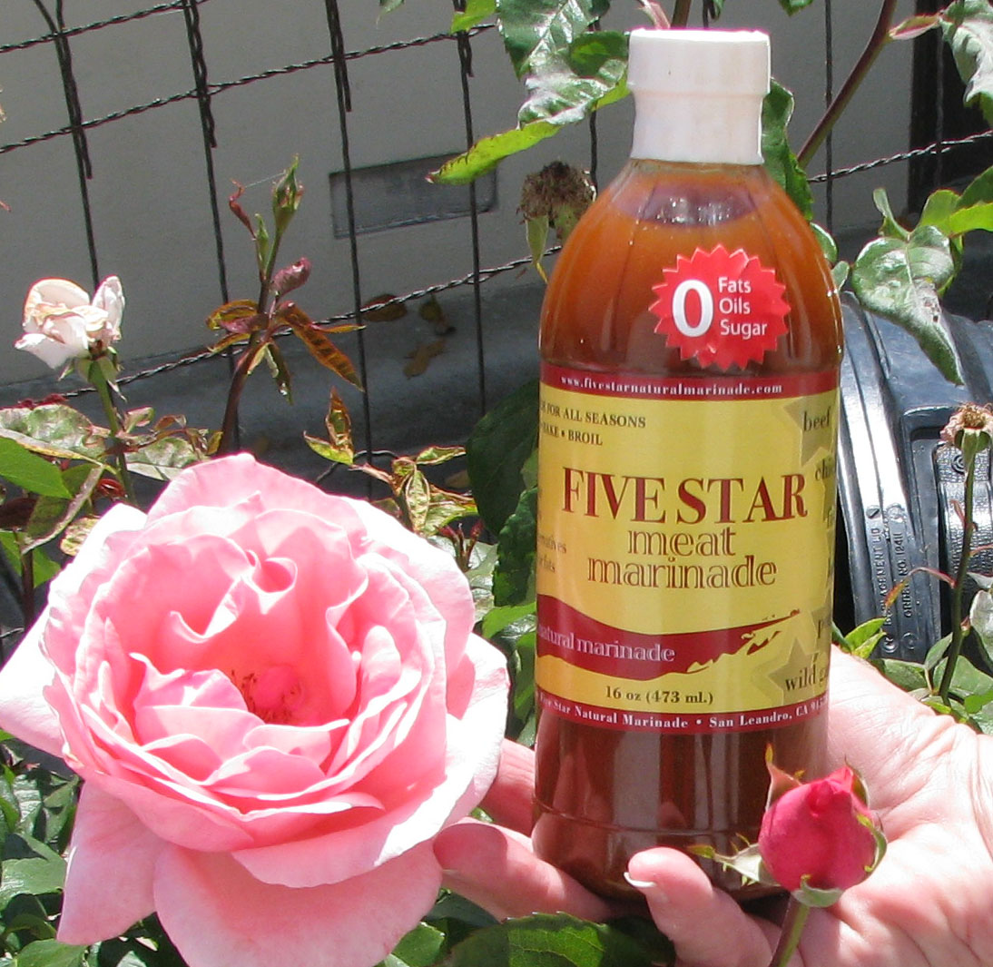 MAD MEAT GENIUS: FIVE STAR MEAT MARINADE