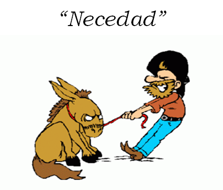 El blog de Marco Peña: Necedad