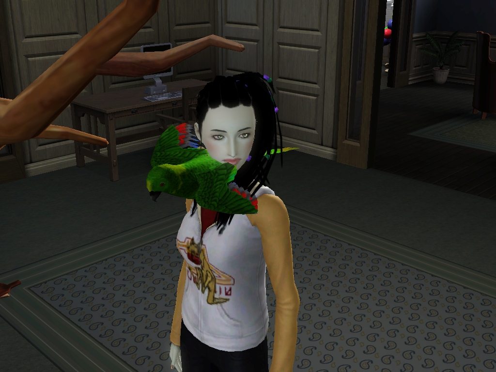Sims 3: The Best Screenshots: Weird Glitches