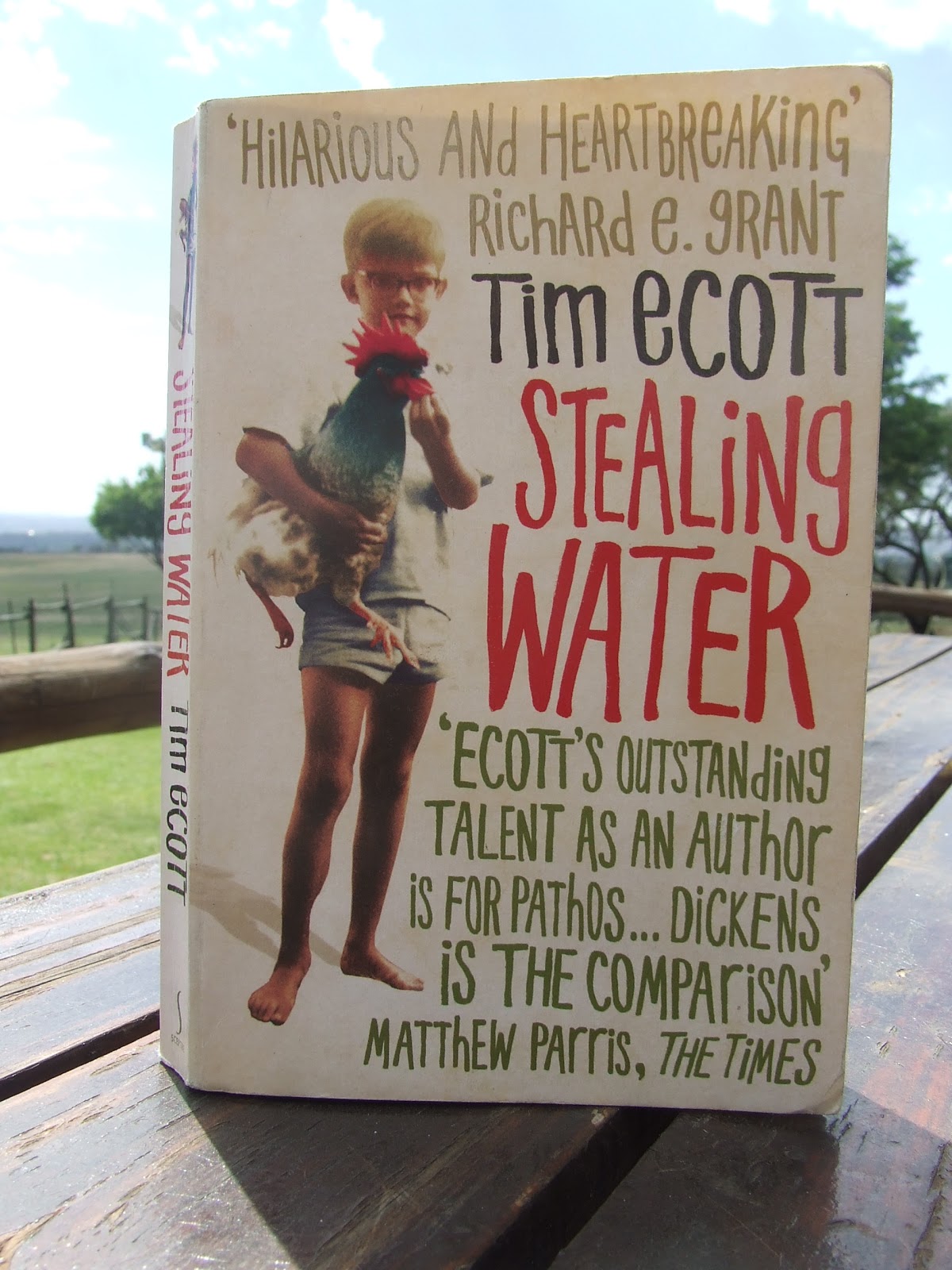 Scribbling Lau: Book review: "Stealing Water" by Tim Ecott