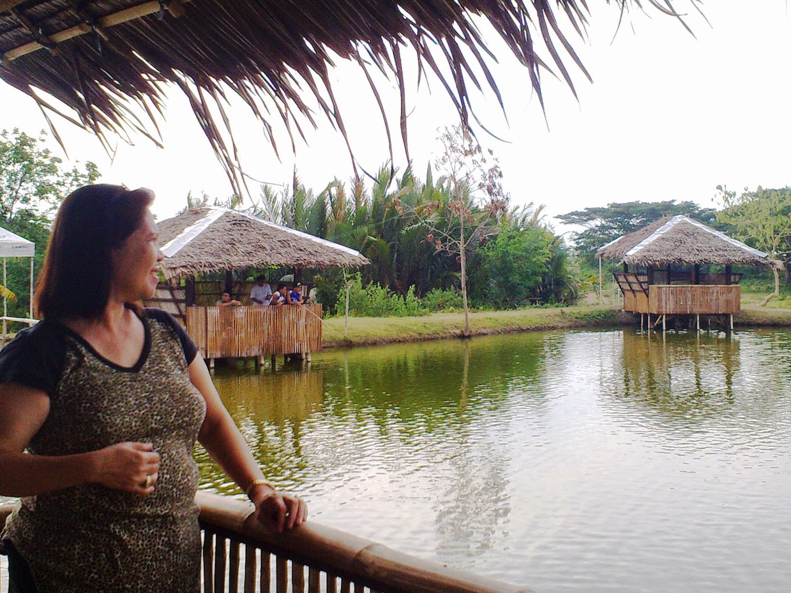 Travelling and Beyond: Balamban: Wild Wild West