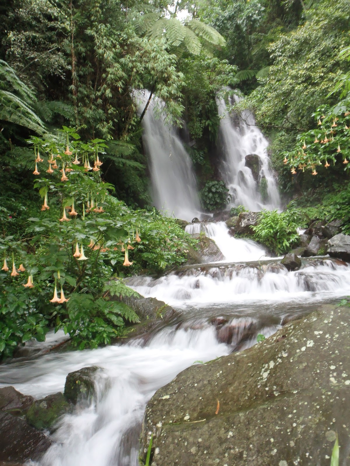 August Rush of Guintubdan Falls: A Photo Diary