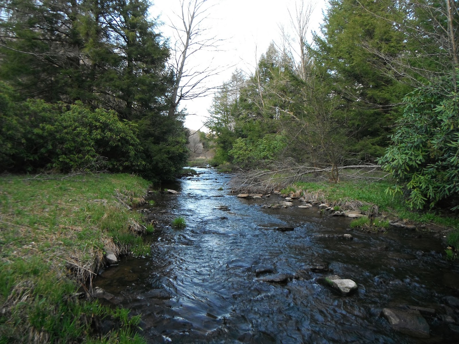 Western Maryland Fly Fishing: Upper Savage River May 4th and 5th