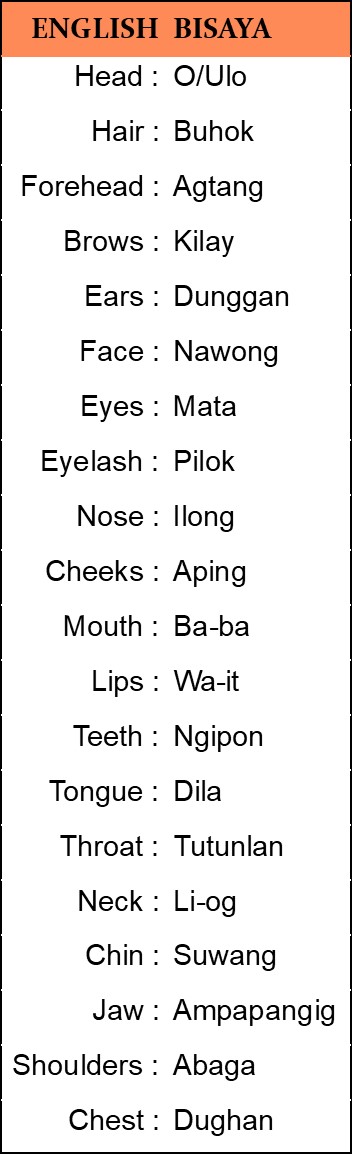 Learn Boholano Bisaya in Aliciahanon Way