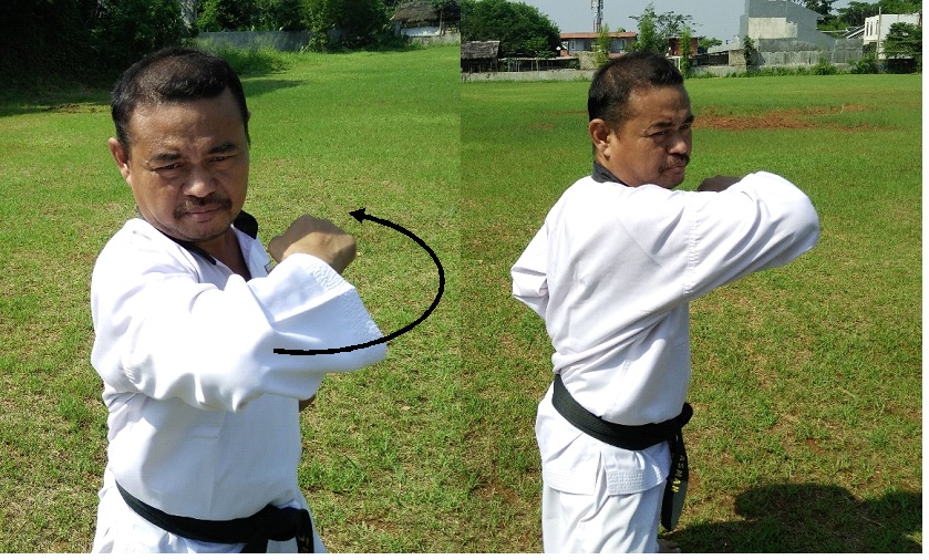 PS. Garuda Jisai: TEKNIK DASAR-PUKULAN DAN SIKUTAN