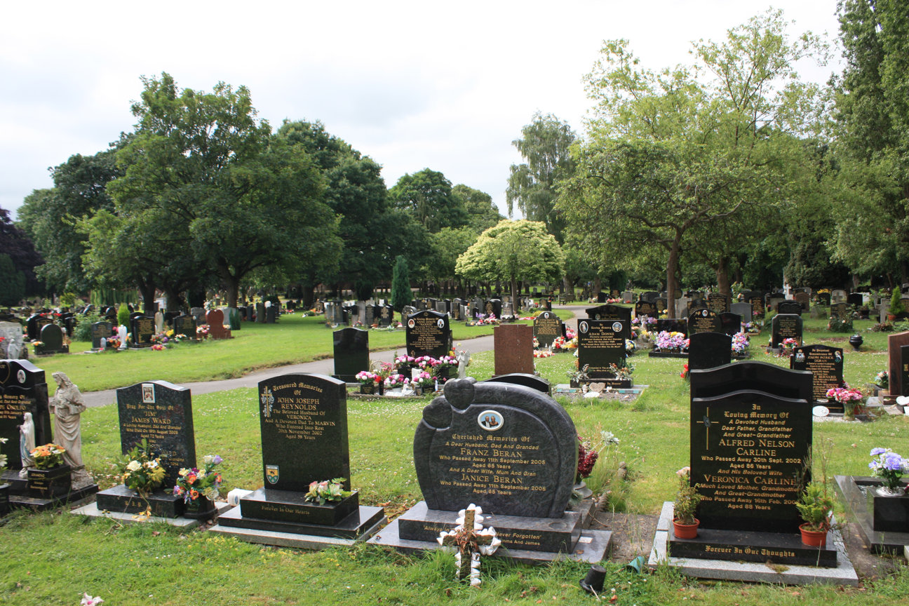 Grave Mistakes: January 2018