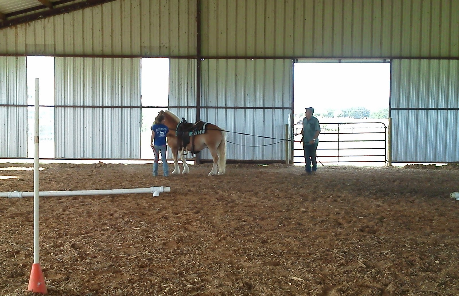 Shadow Ranch Therapeutic Riding Center: Just Pics