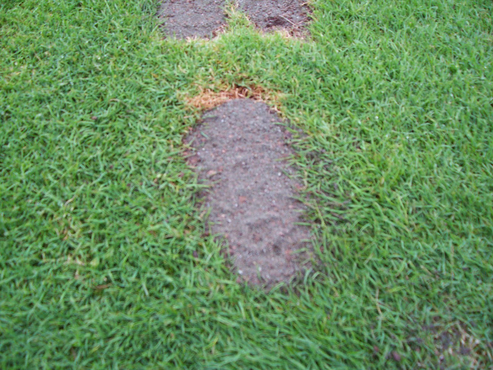 Bellevue Grounds: Proper Way to fill a Divot.