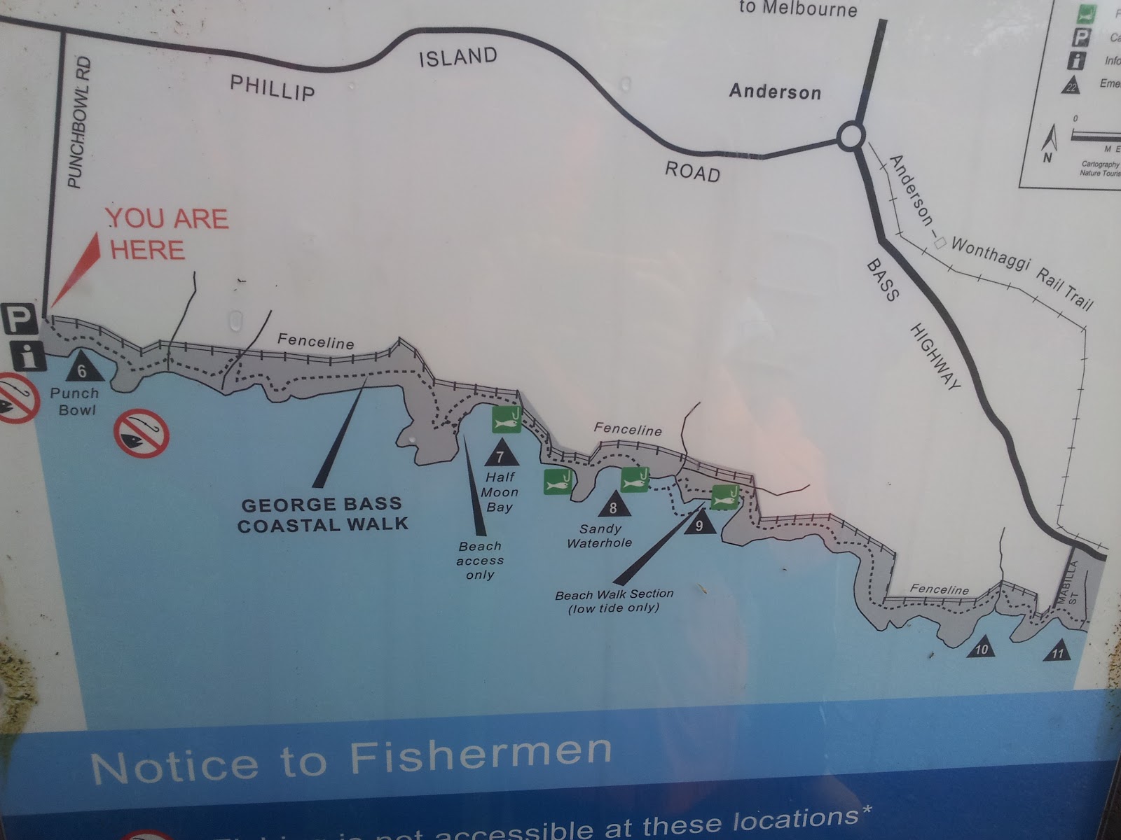 Day Out with Dog (Victoria Australia): George Bass Coastal Walk (my ...