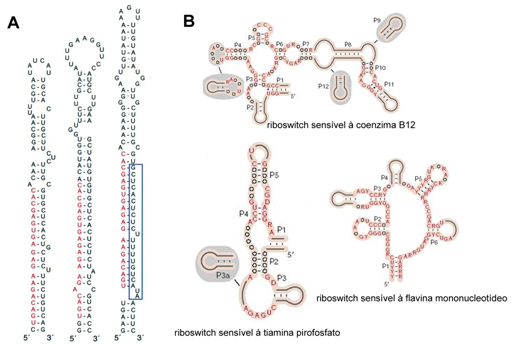 Ciência é...: julho 2011