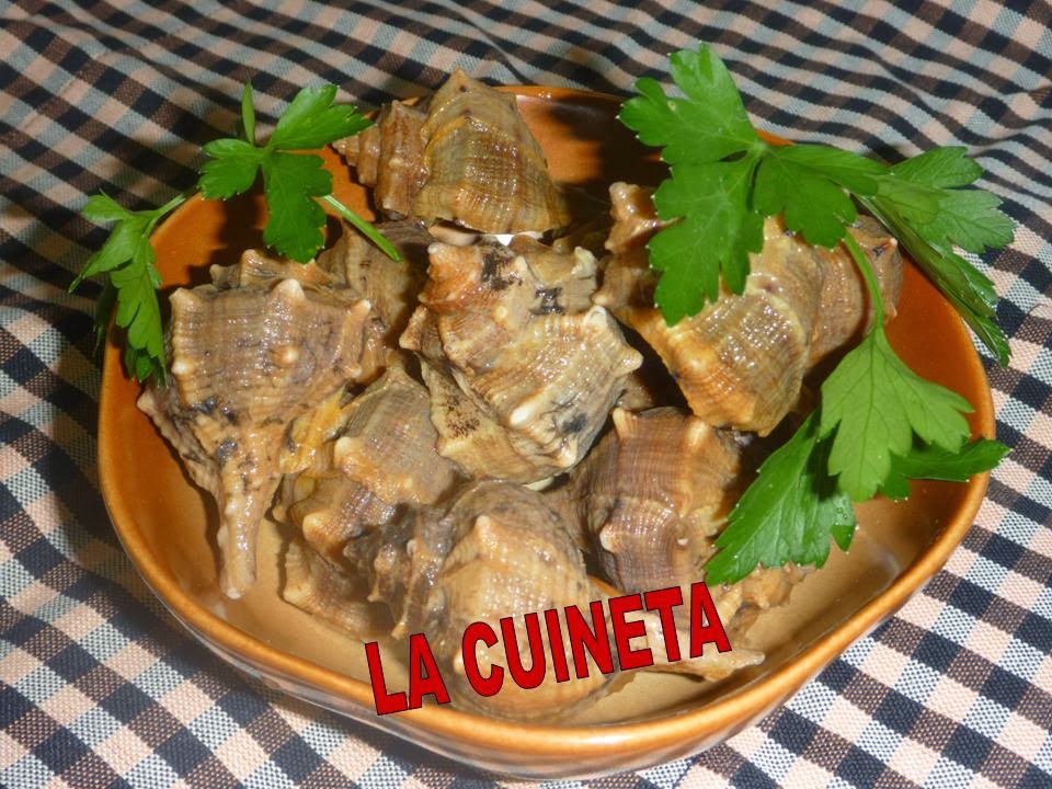 La cuineta: CARGOLS DE PUNXES ( CARGOLS DE MAR)