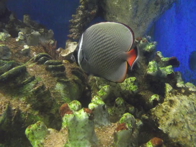 Water World - Kelaniya - Gampaha