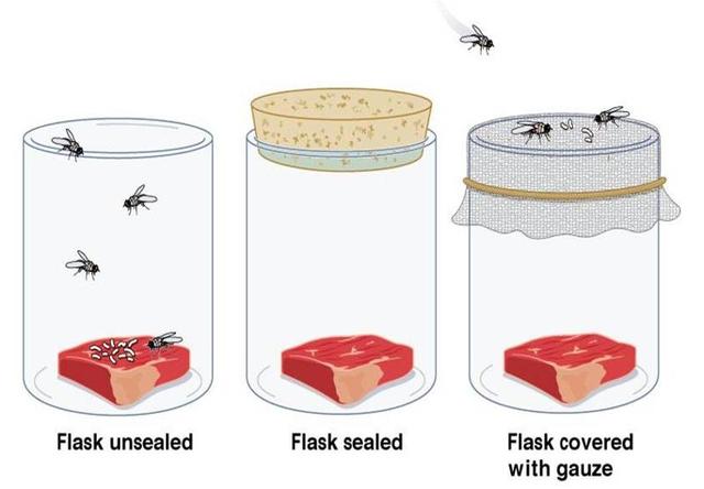 Base Resumos Biológicos: ORIGEM DA VIDA - I