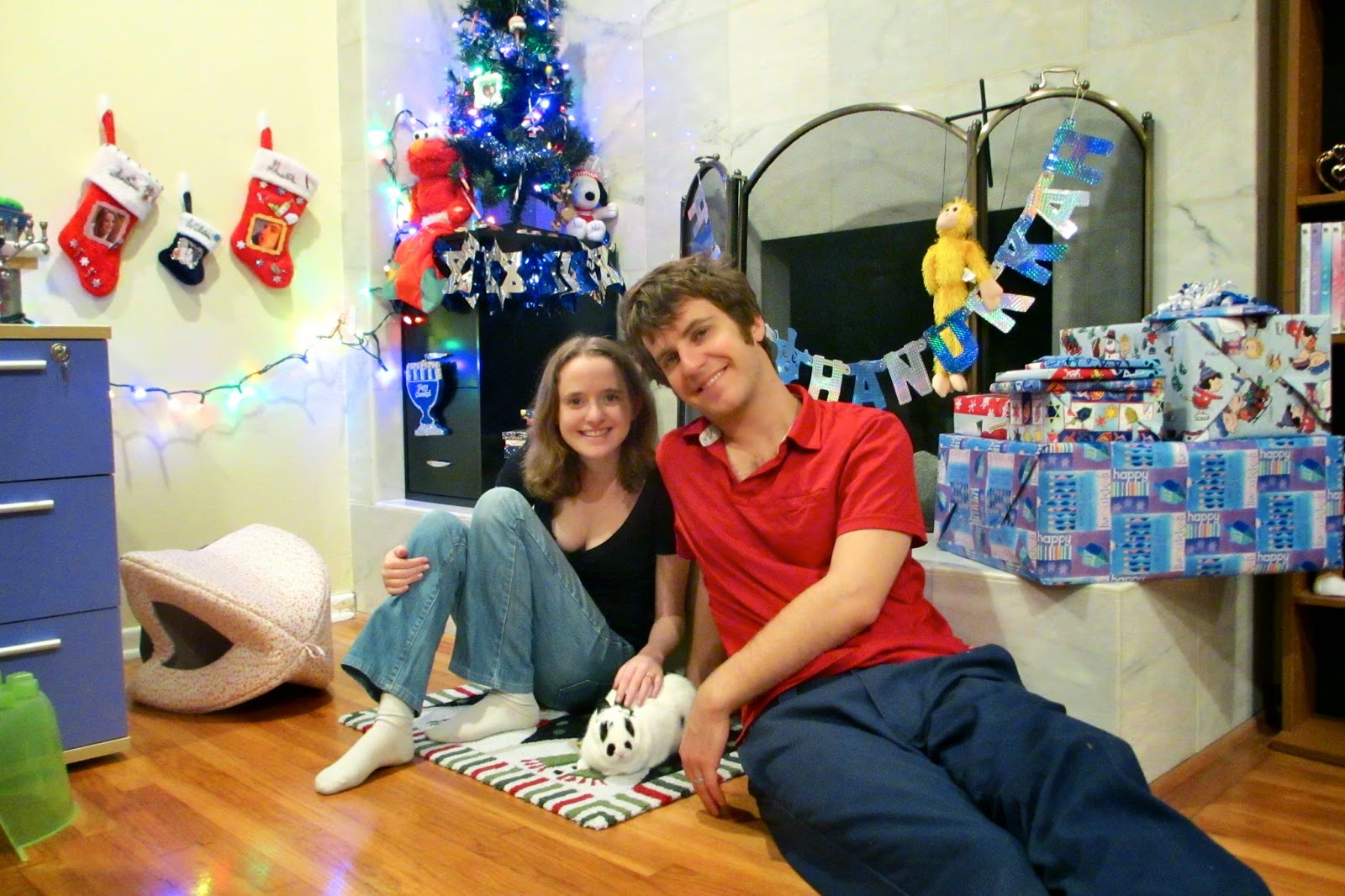 Justine's Blog: How to Raise a Perfect Pet Rabbit