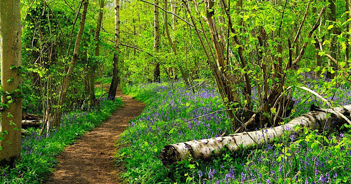Cambridgeshire walks: Great Gransden to Waresley