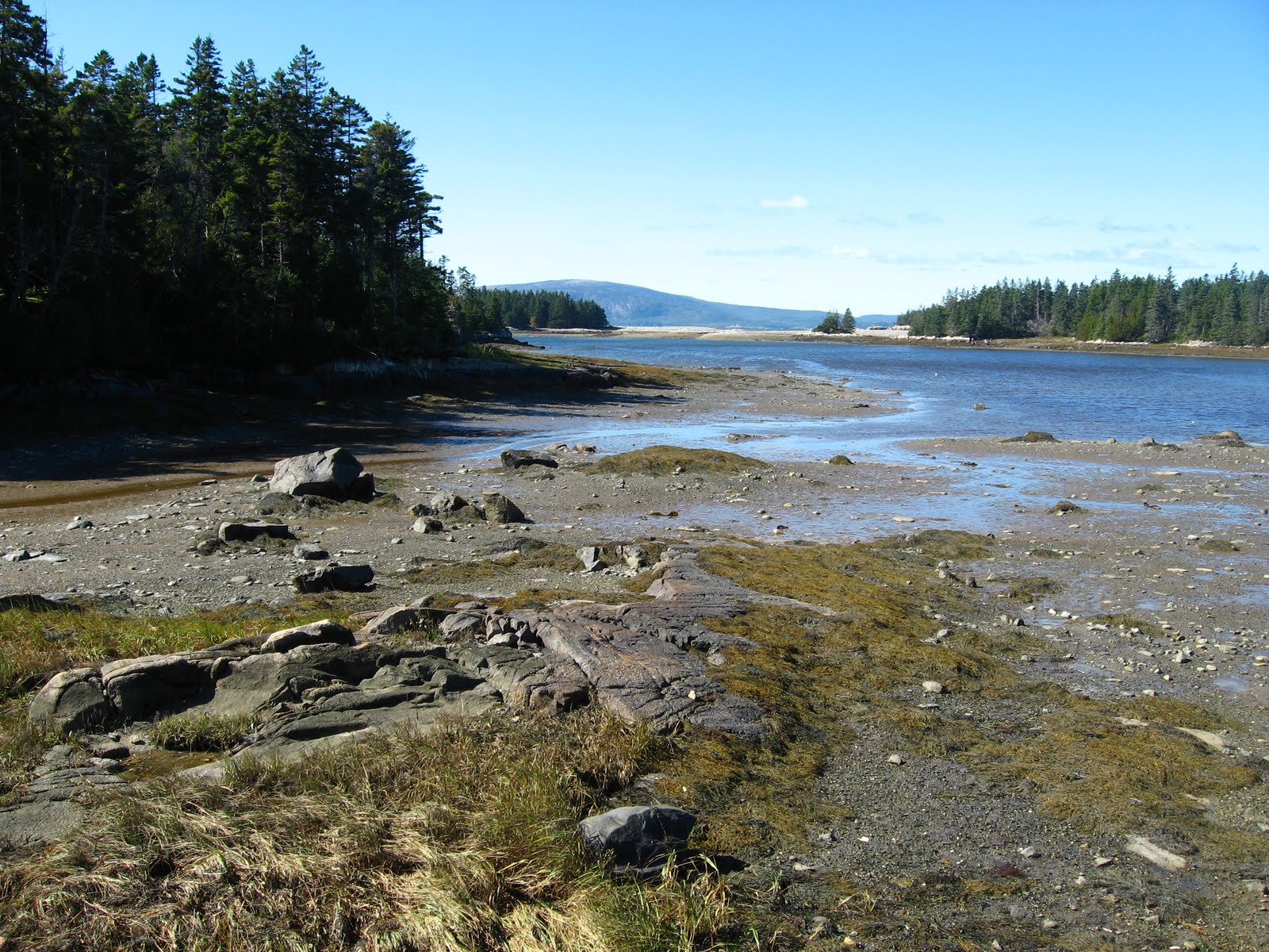 Schoodic Peninsula, Acadia National Park