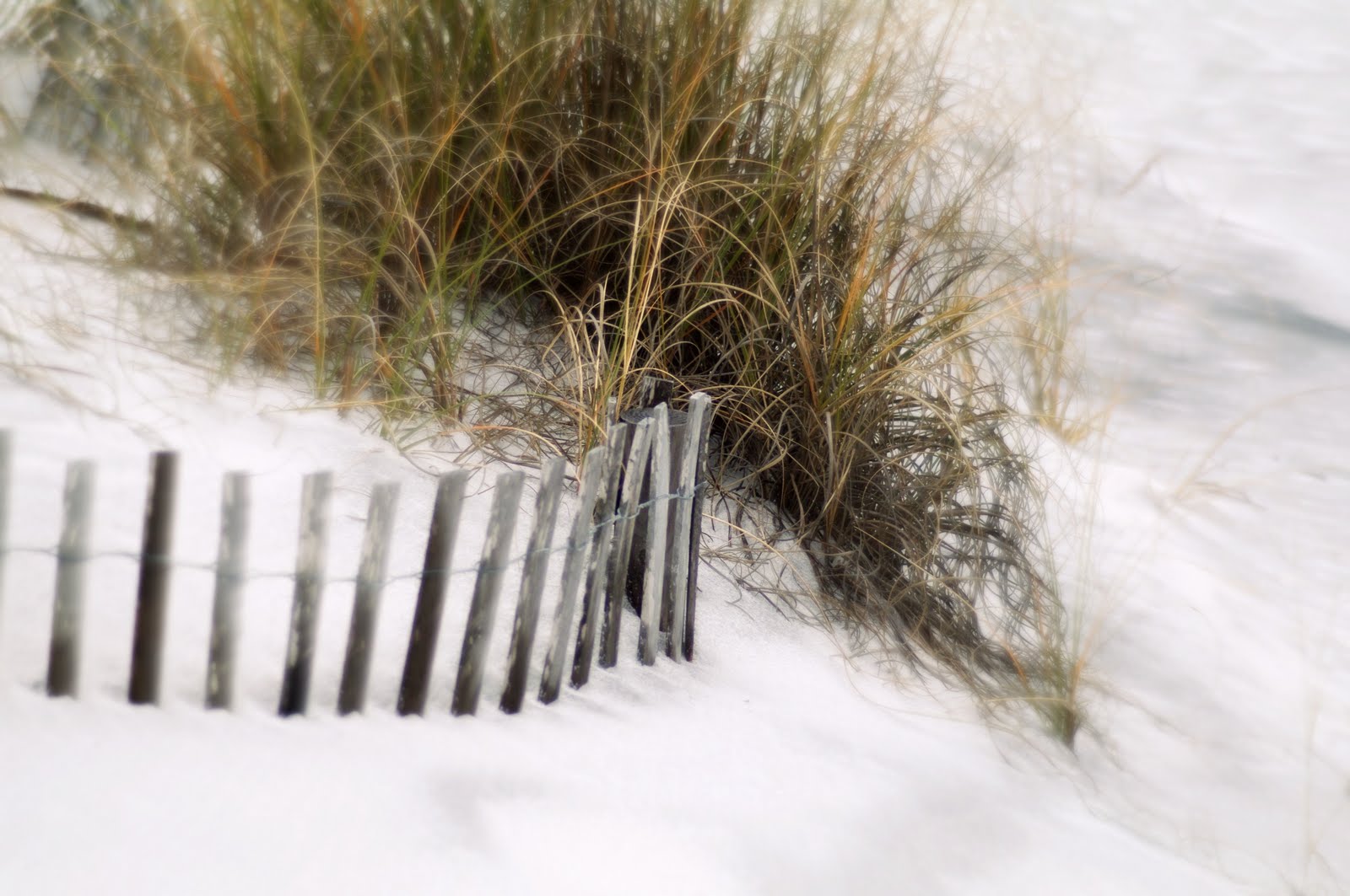 be yourself...everyone else is taken: on the balance beam of life...