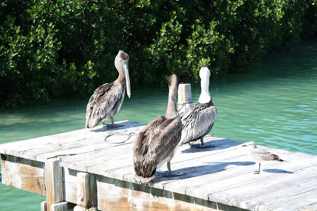 Da Miami alle Isole Keys