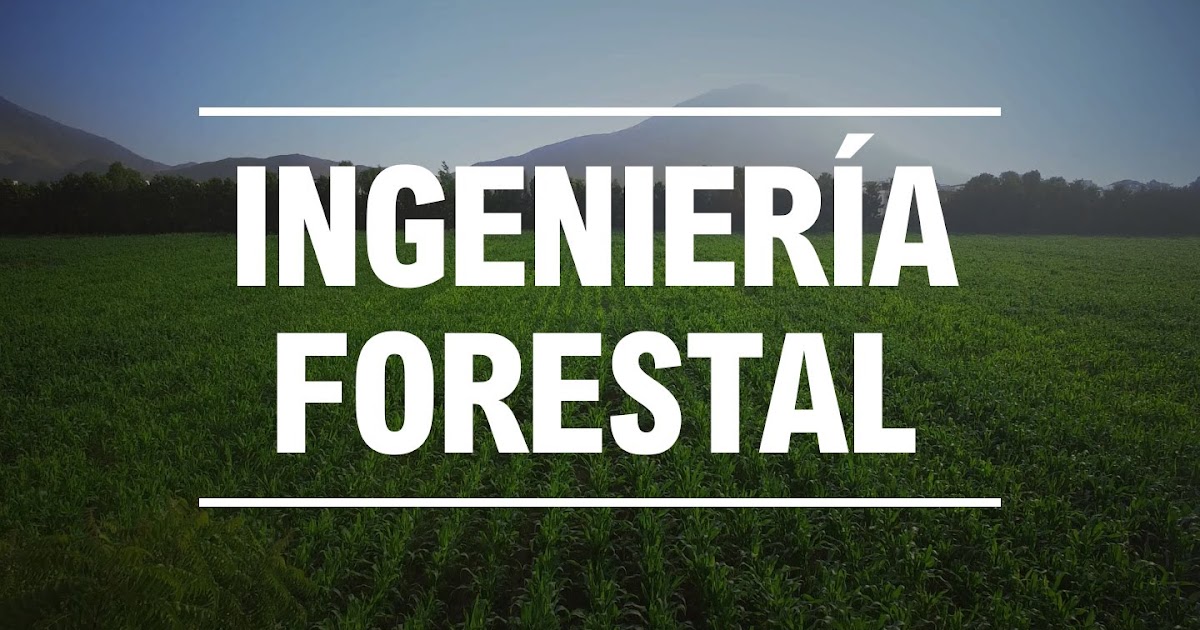 Ingeniería Forestal : Ingeniería Forestal